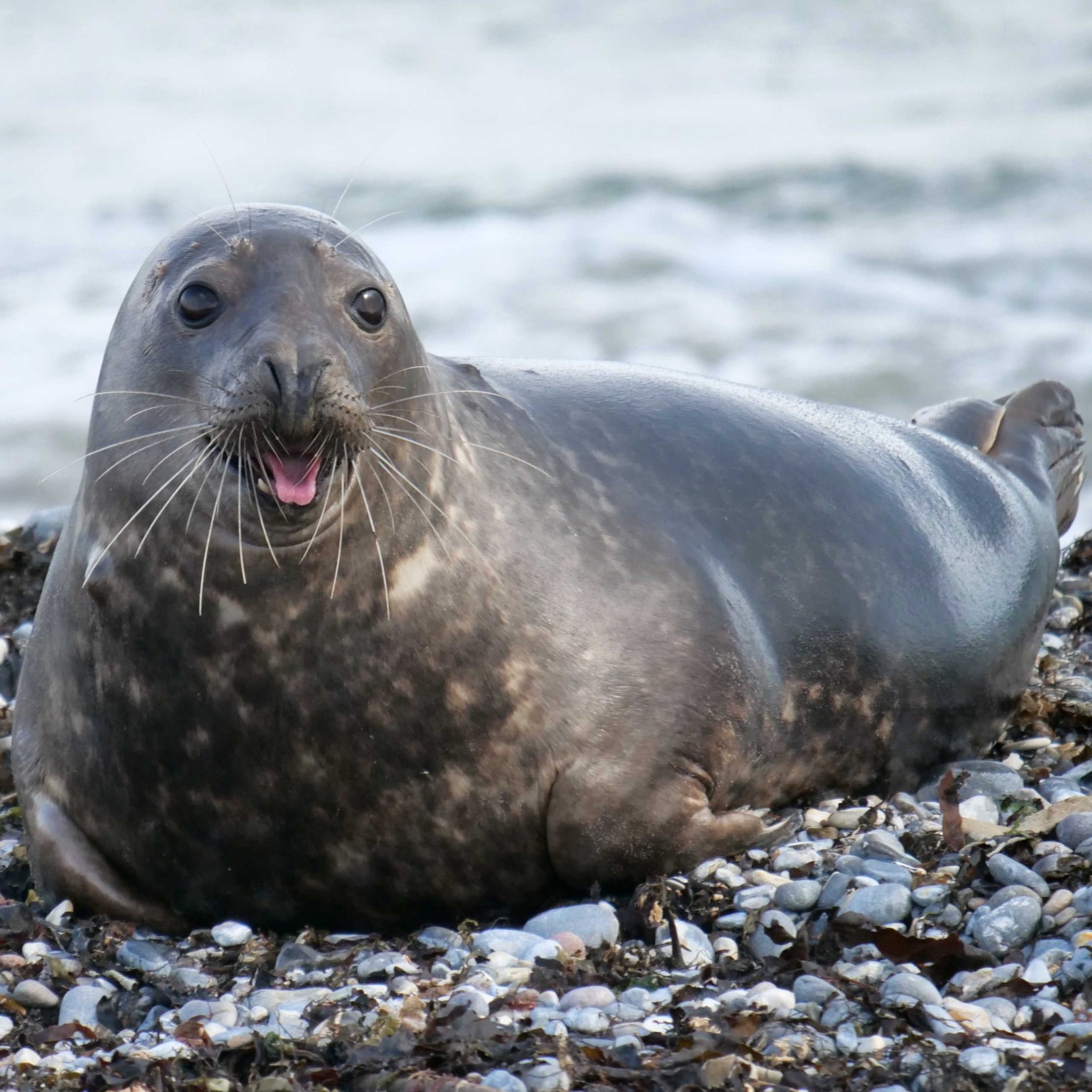 Notary Services in Calgary - DLegal Law Office - Calgary South