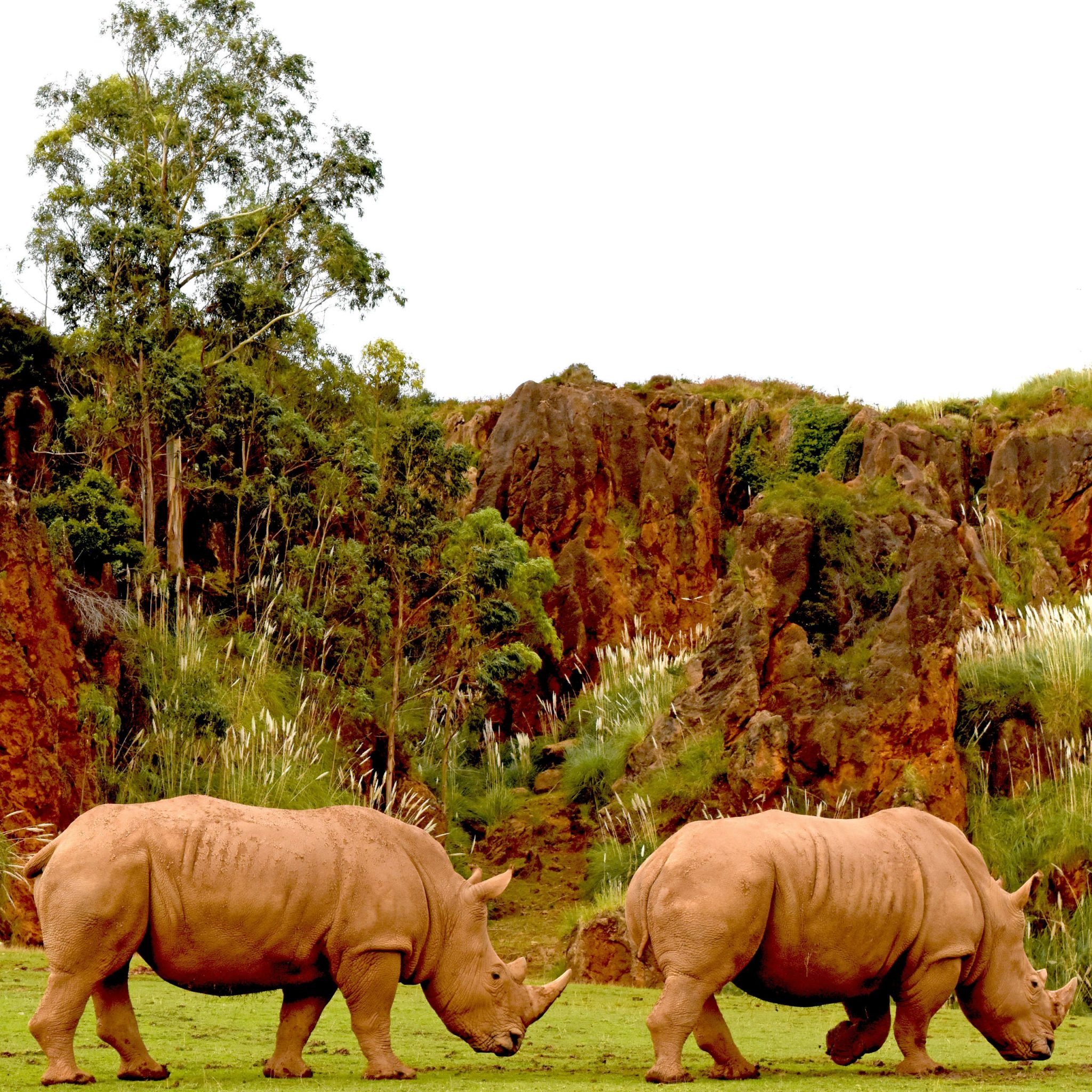 Understanding the Oppression Remedy: A Guide for Affected Shareholders